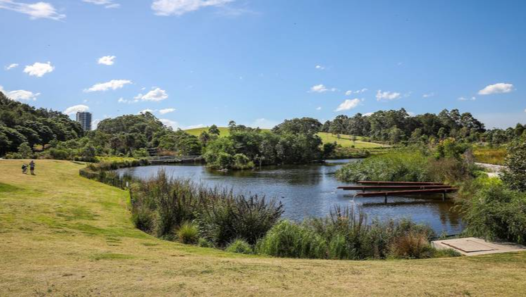 Fundraiser for Helen Grebert by Sam Grebert : Creating A Memorial For ...