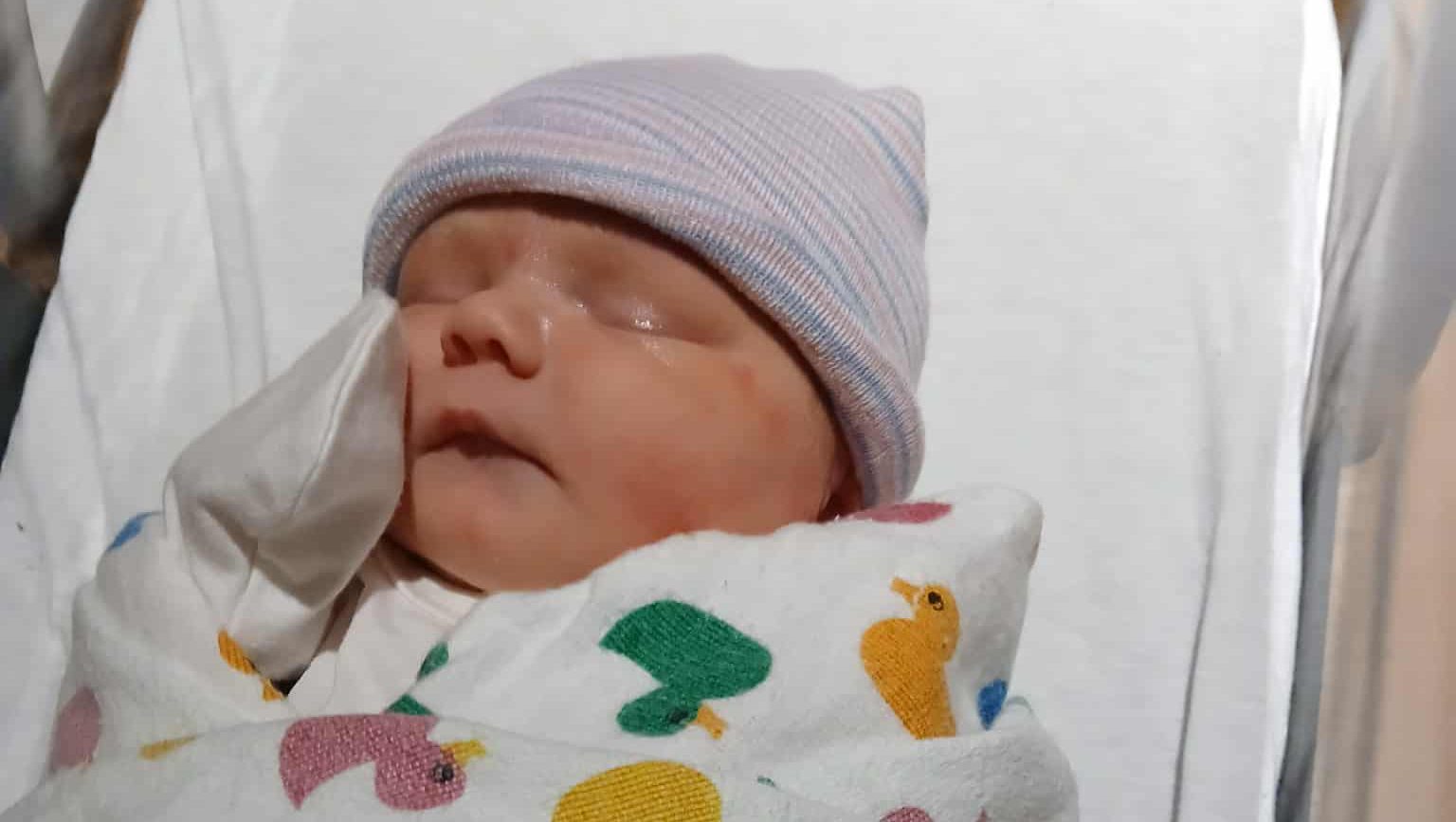 Fundraiser by Ashley Dey : Support Arietta and Her Family Through Her ...