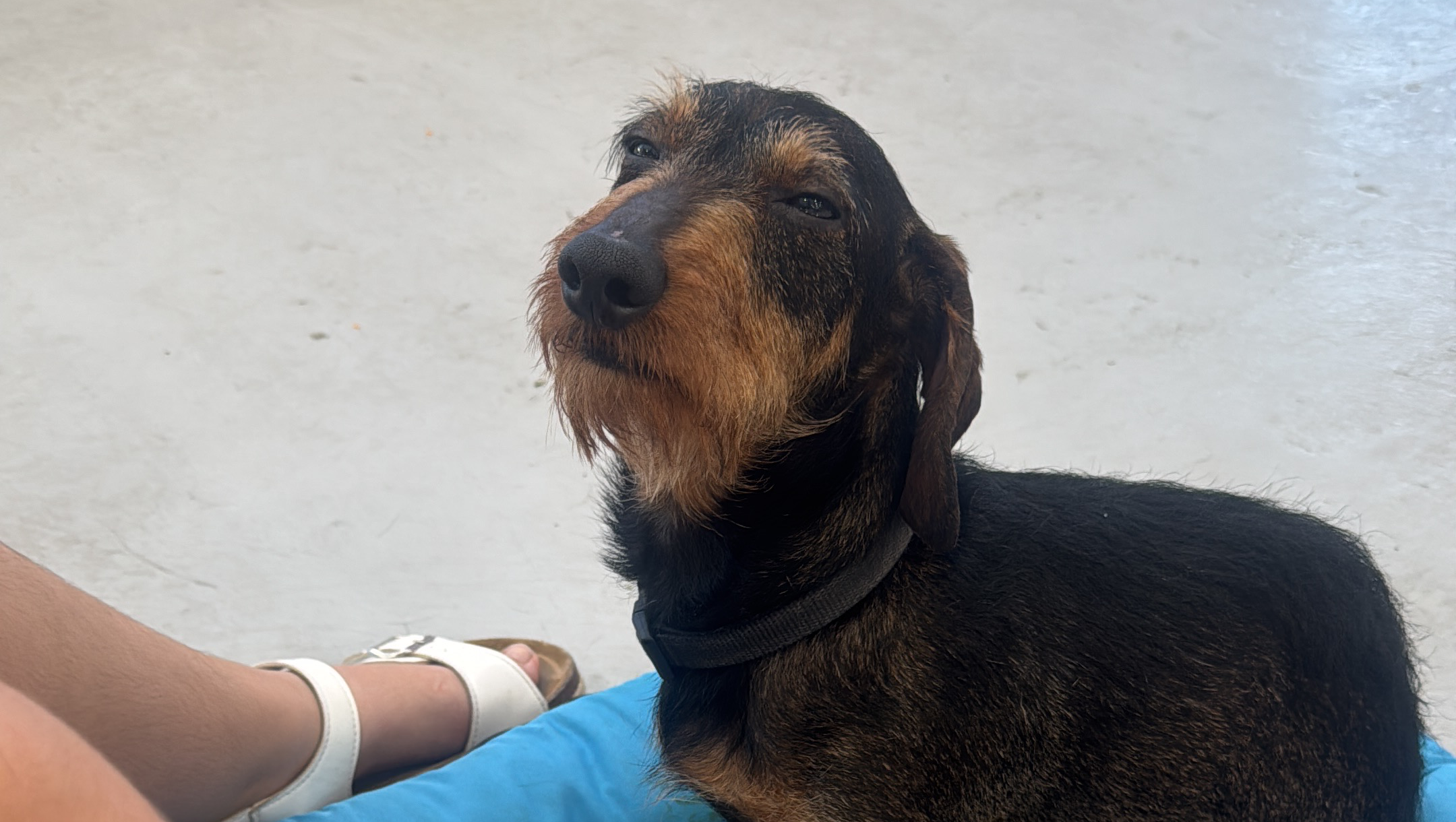 Fundraiser by Carla Alves domenech : Ayúdame a operar a mi pequeño Jordan