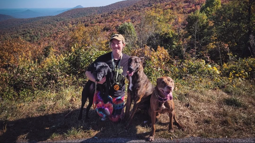 Fundraiser by Jessica Gajewski : Help Me & My Furry Family Move to SD ...