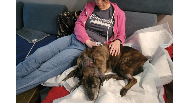 Fundraiser for Kathryn Gilmore by Sayre Moskwa : Help Kayte and Tek ...