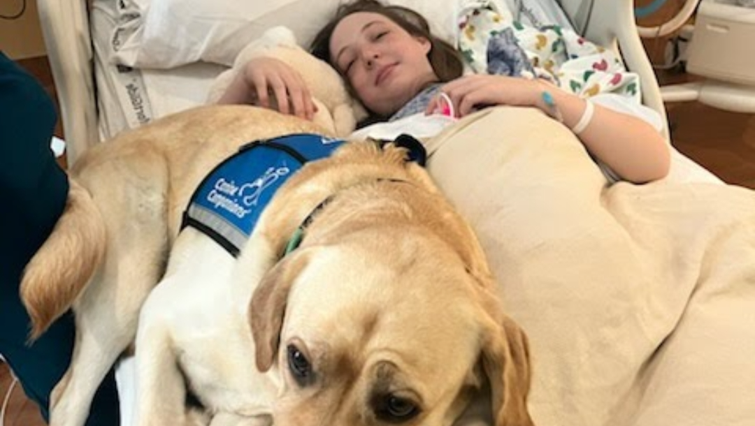 Fundraiser for Alexandrea Shotwell by Ashley Hendricks : Support Emma's ...