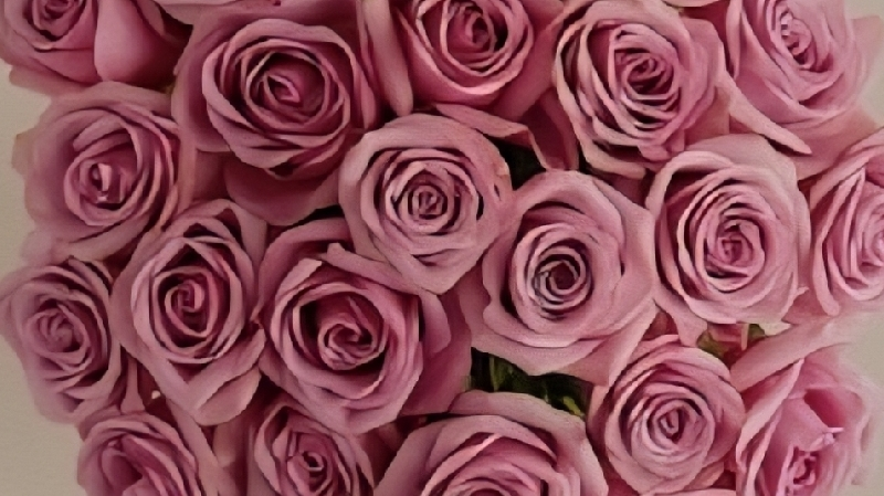 Fundraiser by Sha Griff : Support Sha Griff's Daughter's College Journey