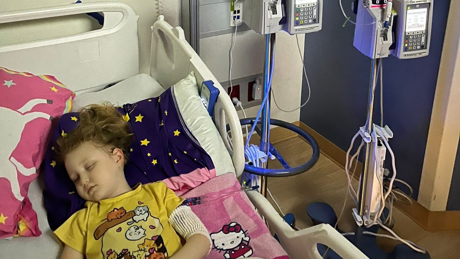 Fundraiser for Jessica Harrod by Rachael Perez : Stand with Maddie ...