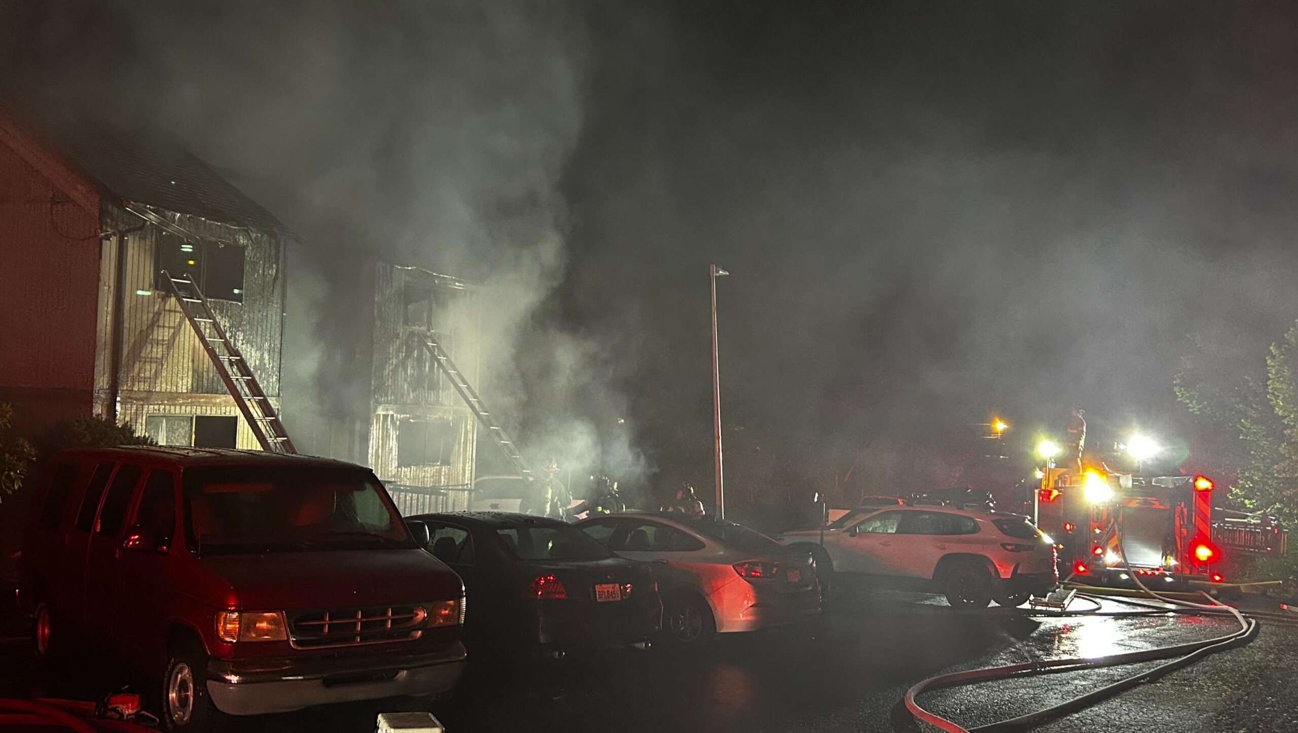 Fundraiser by Courtney Denney : Help Josie Recover After Devastating ...