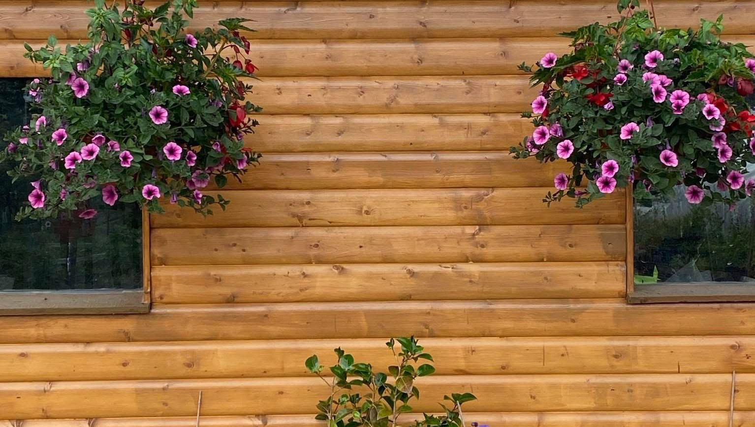 Fundraiser by Rochelle Mcgavin : Bellsmyre Community Gardens