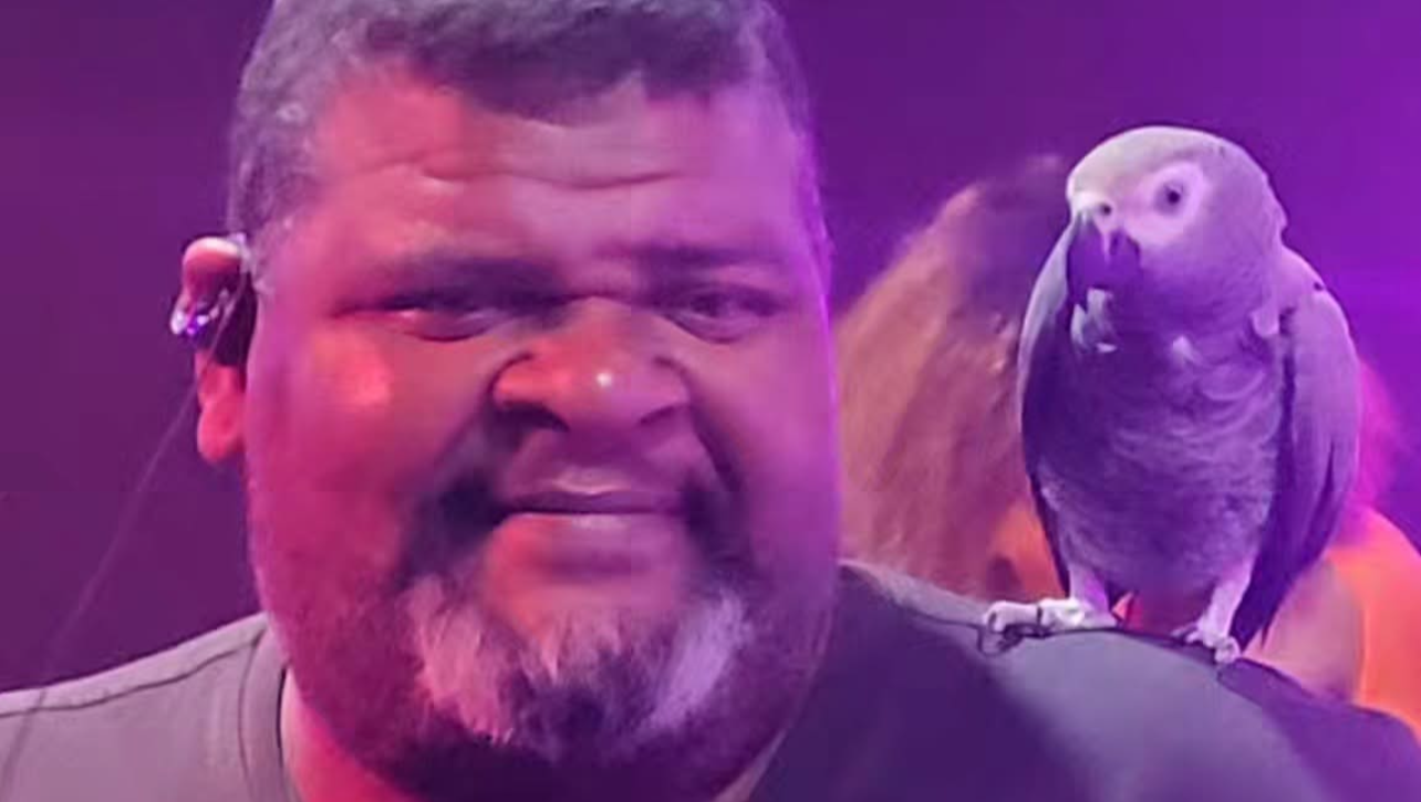 Fundraiser for Jamain Alston by Loren antonucci : Support Jerry Alston ...