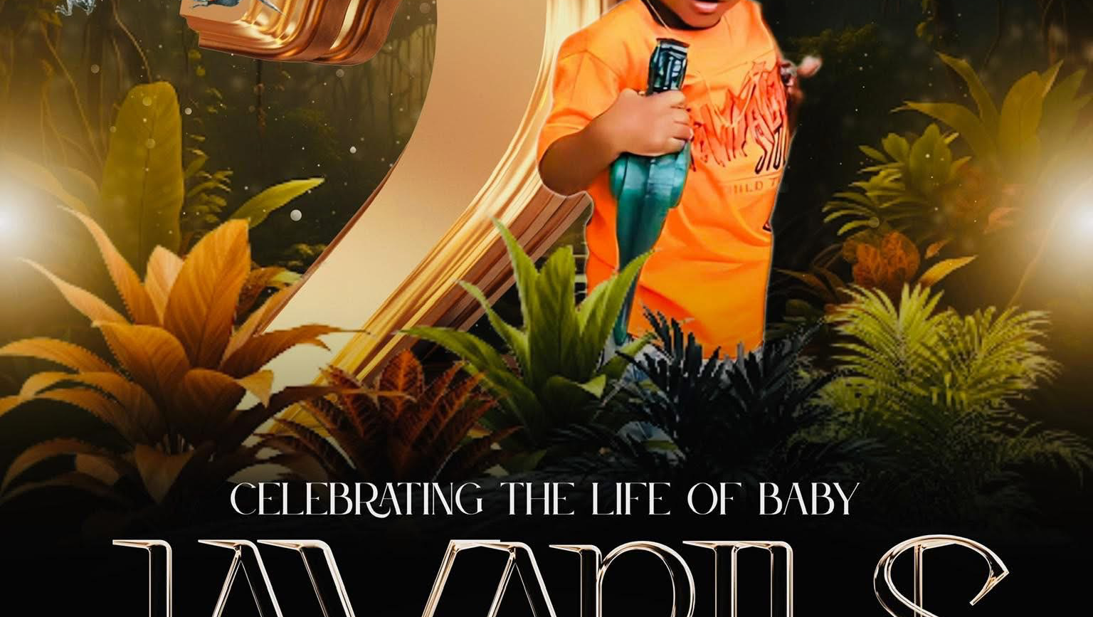 Fundraiser by Dominique Stewart : Celebrating the Life of Two-Year-Old ...