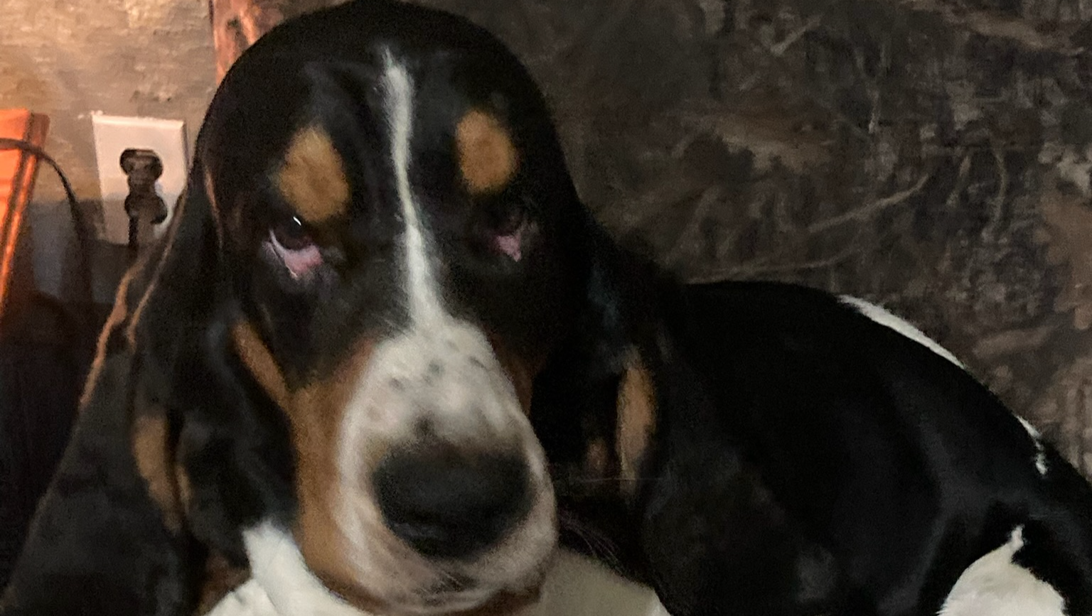 Fundraiser by Tracy Tincher : Support Ernie's Journey to Healing
