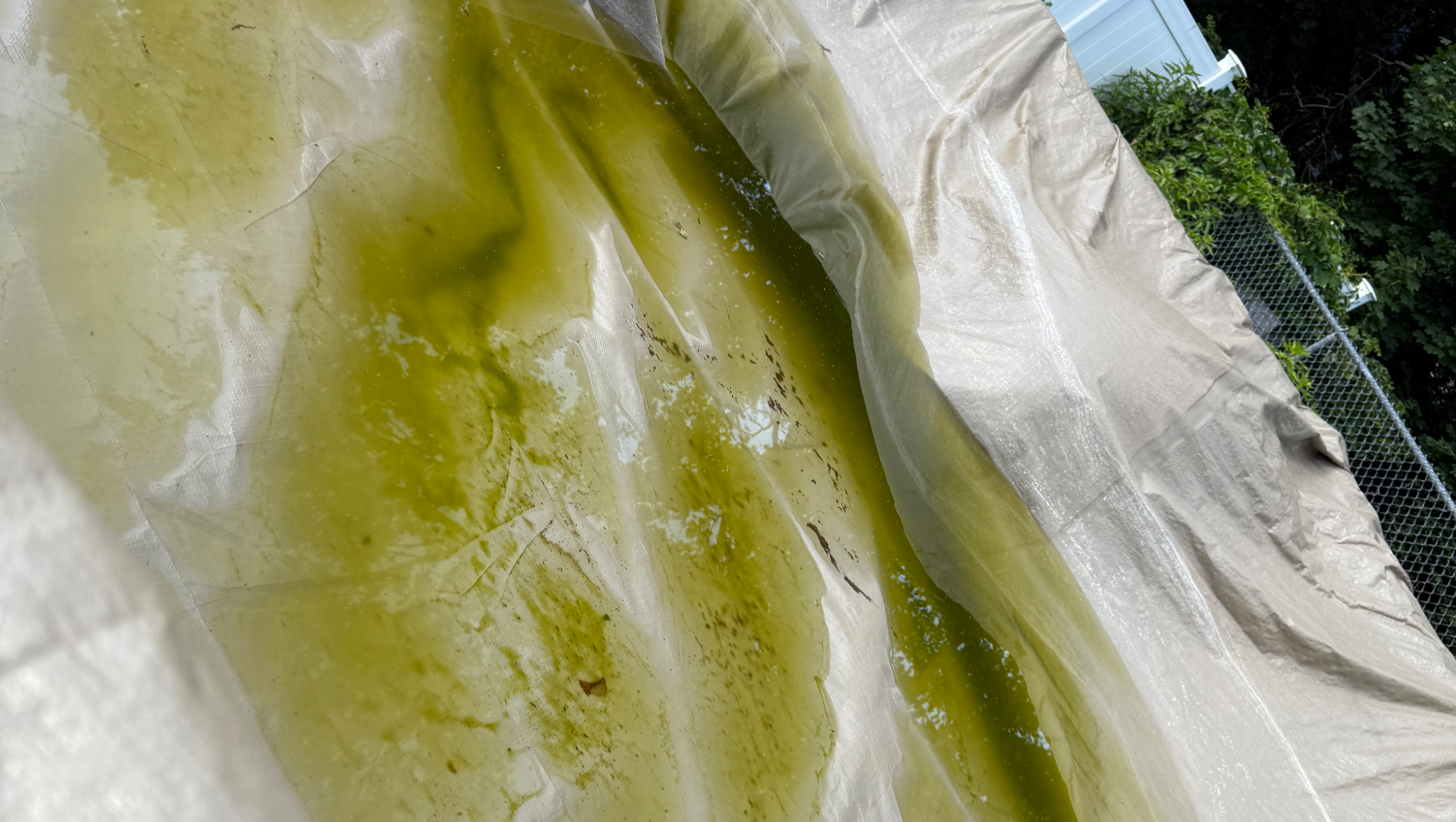 Fundraiser for Perry Andrade by Jacob Andrade : Help Jacob Fix the Pool ...