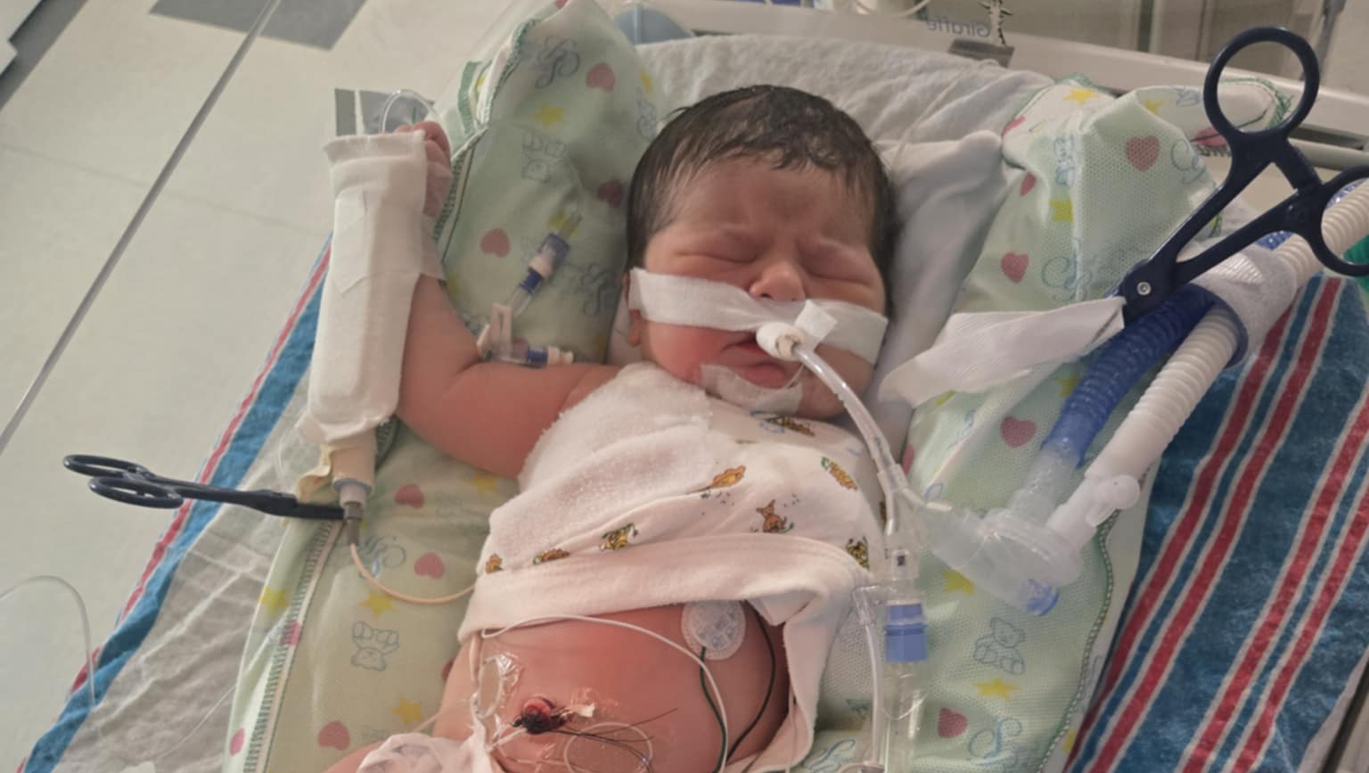 Fundraiser for Justin Ely by Chastidy Lawson : Baby Ruger's Fight: Your ...