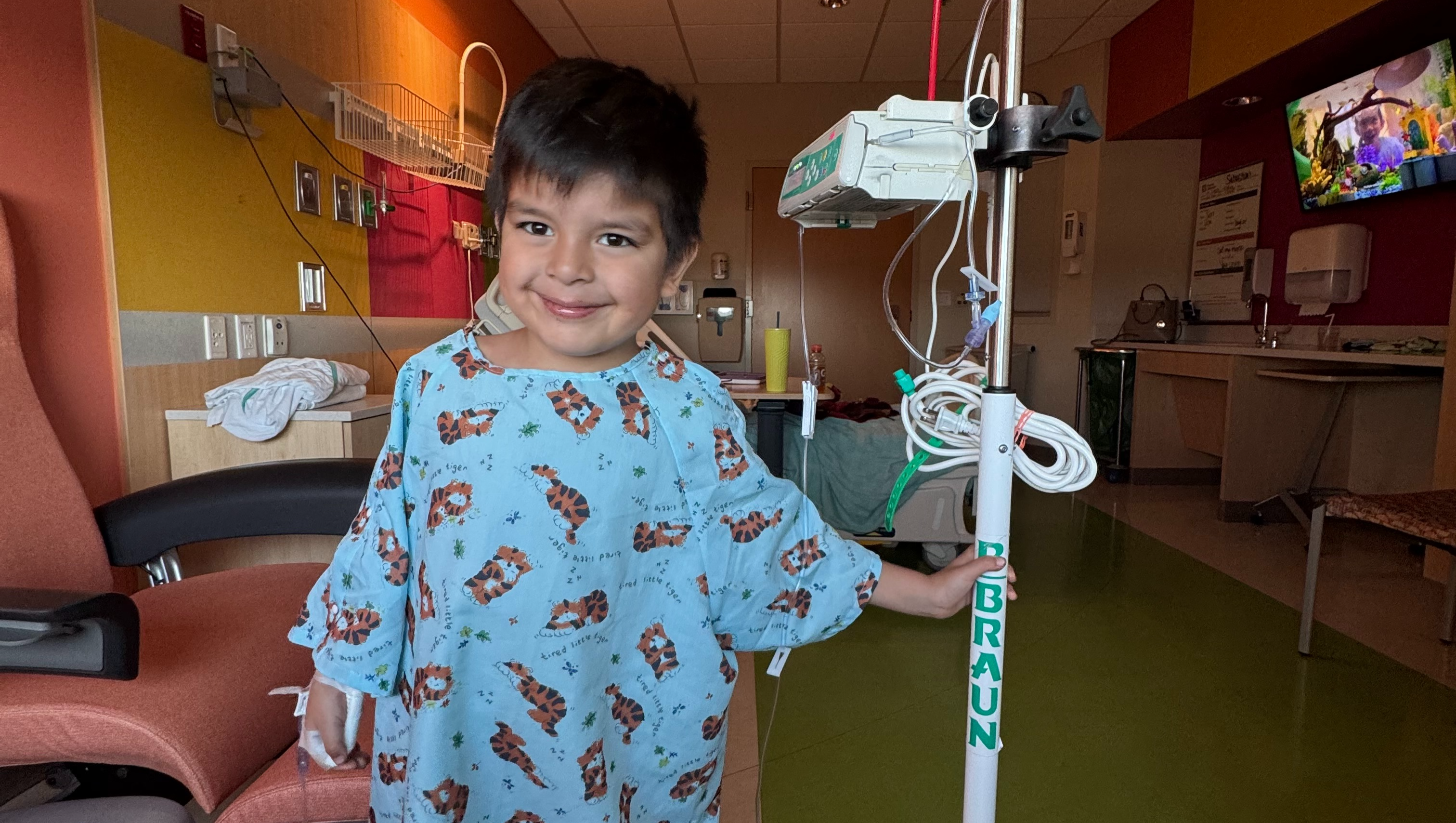 Fundraiser for Alina Camarillo by Leticia Colin : Help 4- year old ...