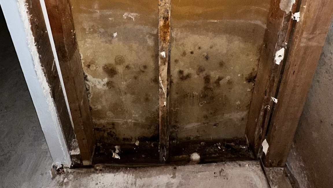 Fundraiser by Finn Hughes : Please Help Fix Our Family Home's Mold Issues