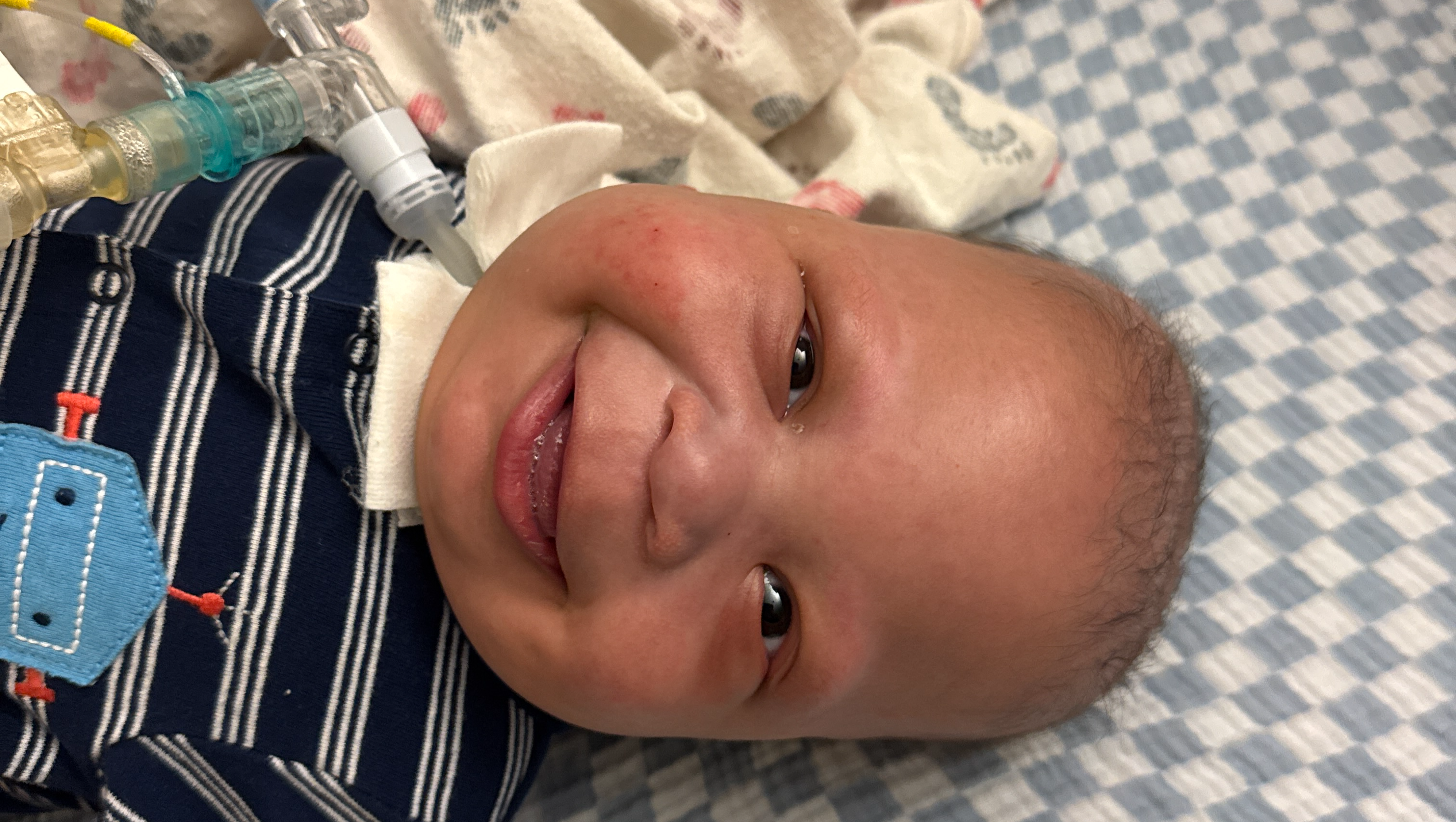 Fundraiser for Sarah Hargrove by Gina Schalk : Koa's Journey