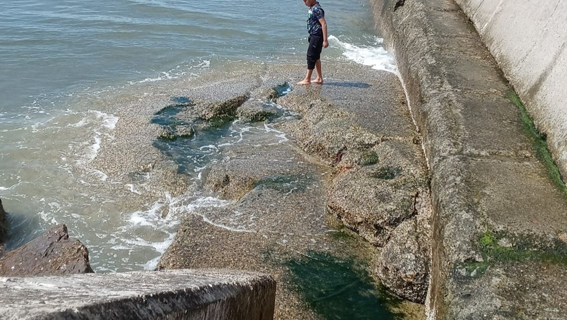 Fundraiser by michelle chor : Honor Janine Sisko's Final Wishes