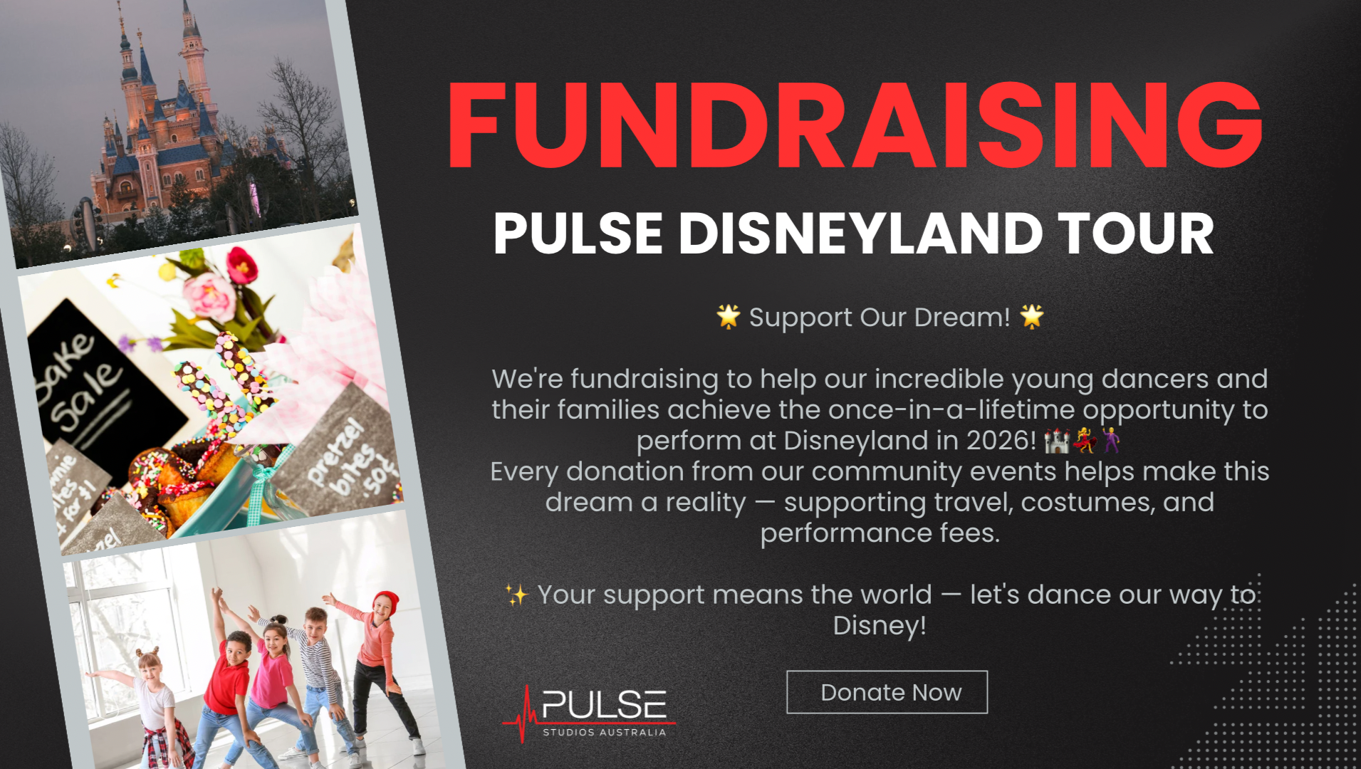 Fundraiser by Pulse Studios Australia : PULSE DISNEYLAND TOUR