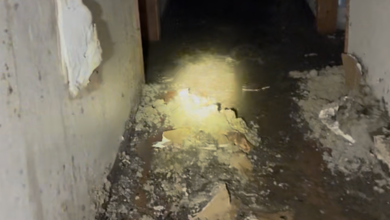 Fundraiser for Angelia Sullivan by Ashley Brown : Support Craig & Angie ...