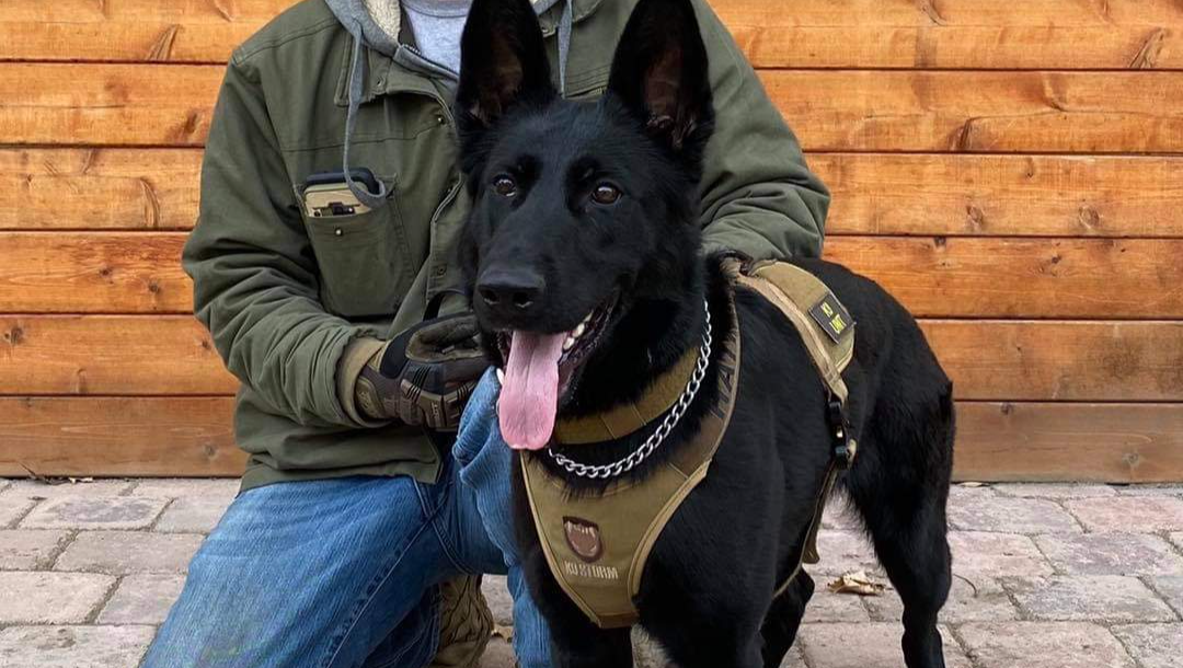 Fundraiser by Shawn Ellerton : Michael's last stand.