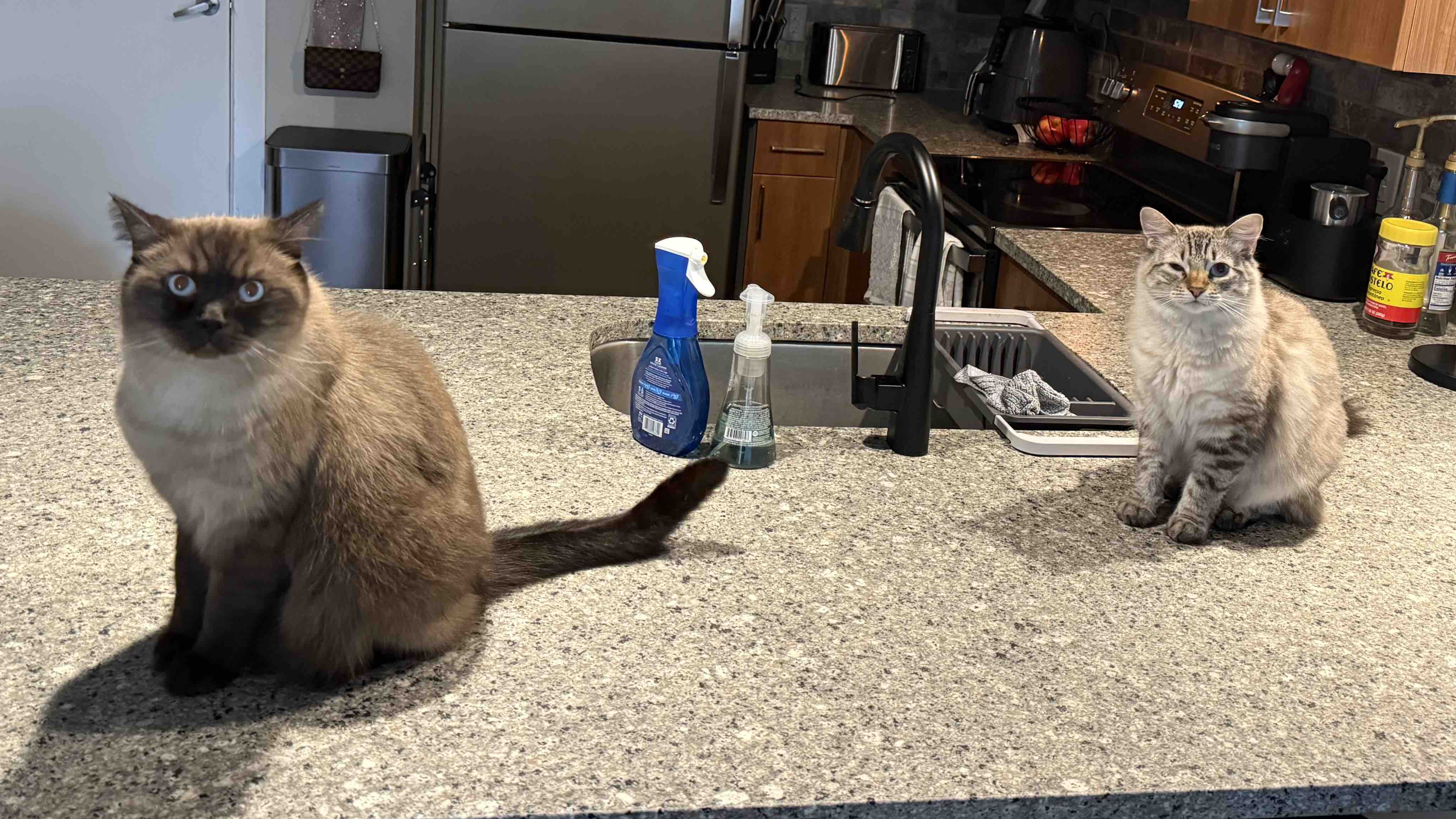 Fundraiser for Kaylan Frisch by Emily Castillion : Help Kaylan Rebuild ...