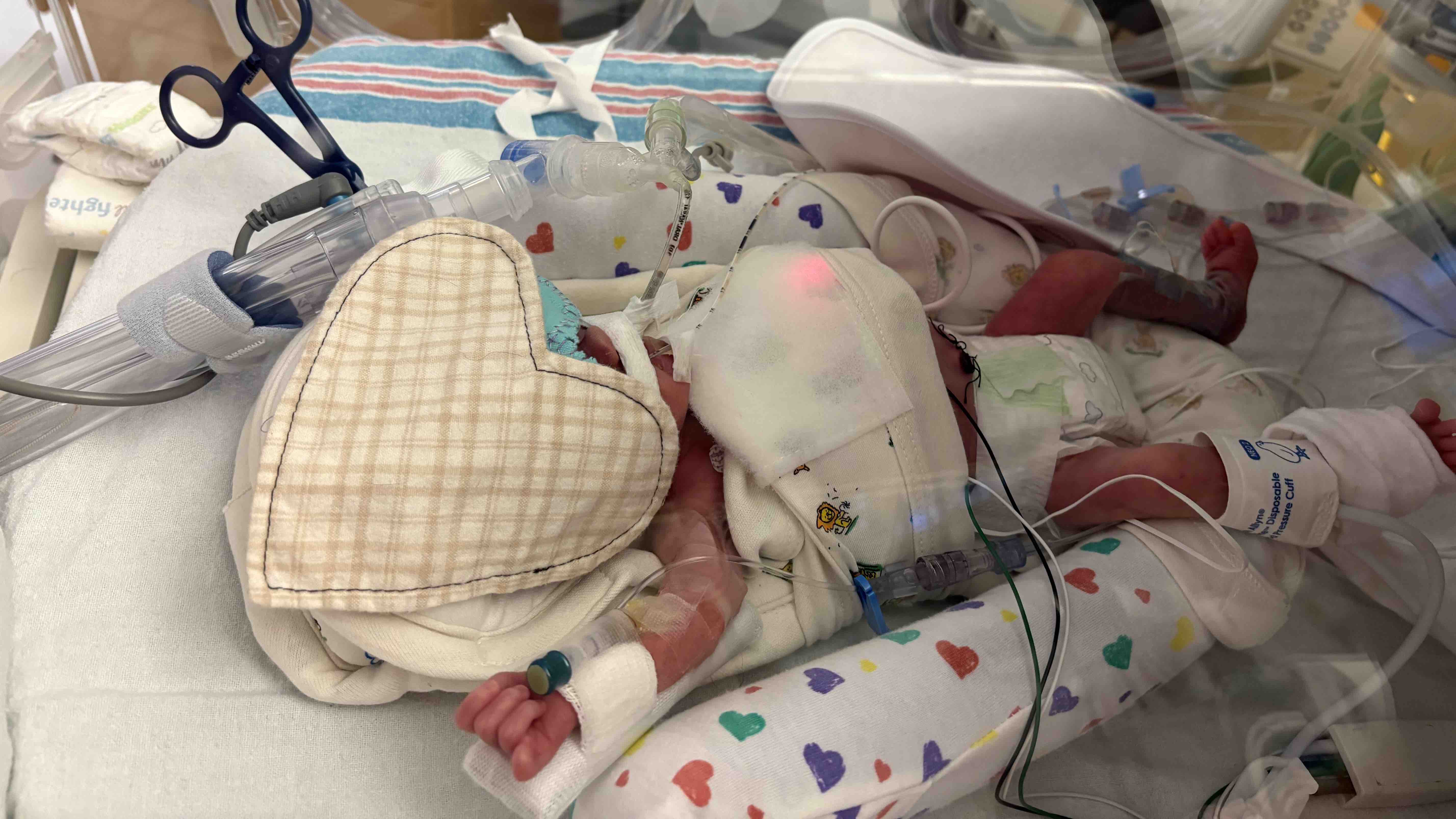 Fundraiser by Melanie Myhlhousen : Baby Ayden Needs Us: Heart Surgery Ahead