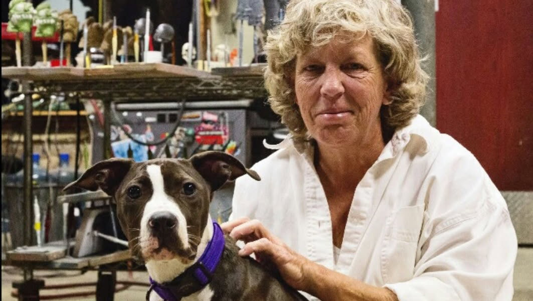 Fundraiser by Ann Keefer : Our friend Diana Frye needs us (and so do ...