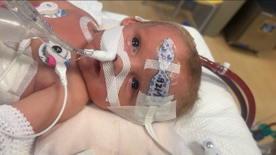 Fundraiser by Sarah Krikstan : Easing the Burden After Baby Jace's Passing