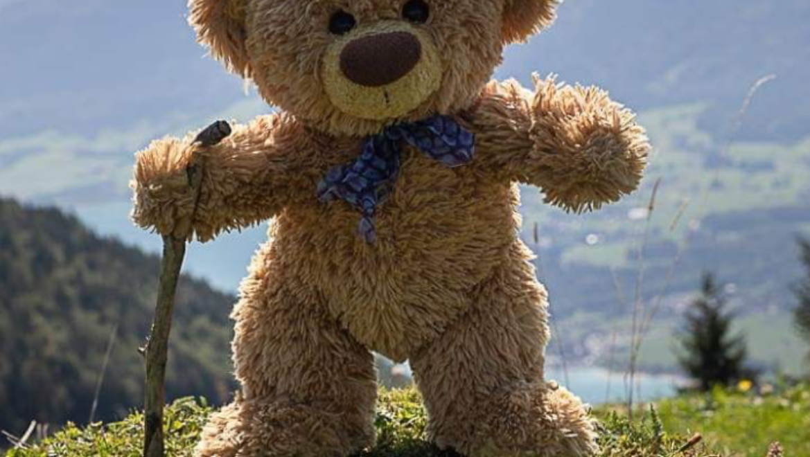 Fundraiser by Elaine Finney : East Lancs Hospice Memory Bears