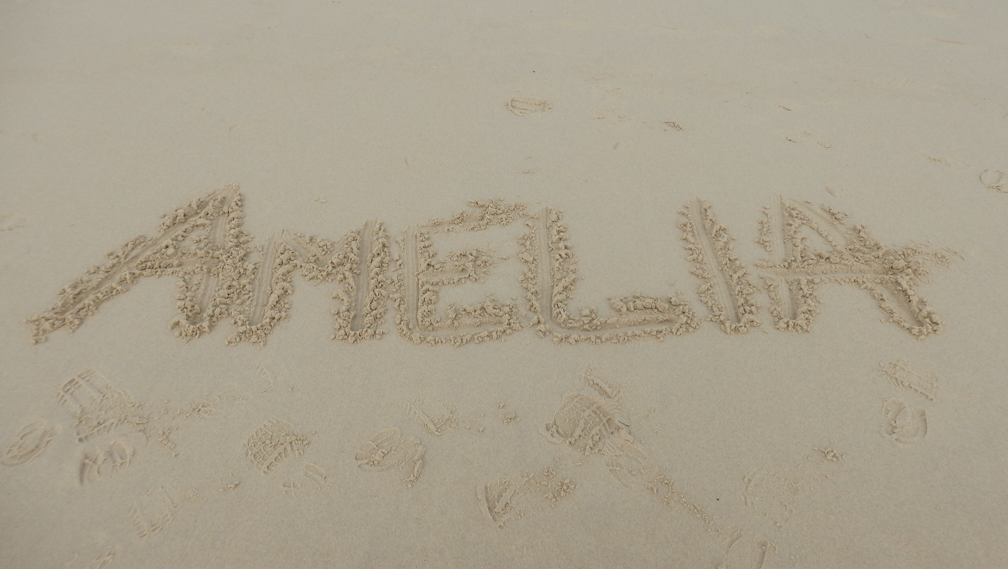 Fundraiser by Jen Mina : In memory of Amelia Rae