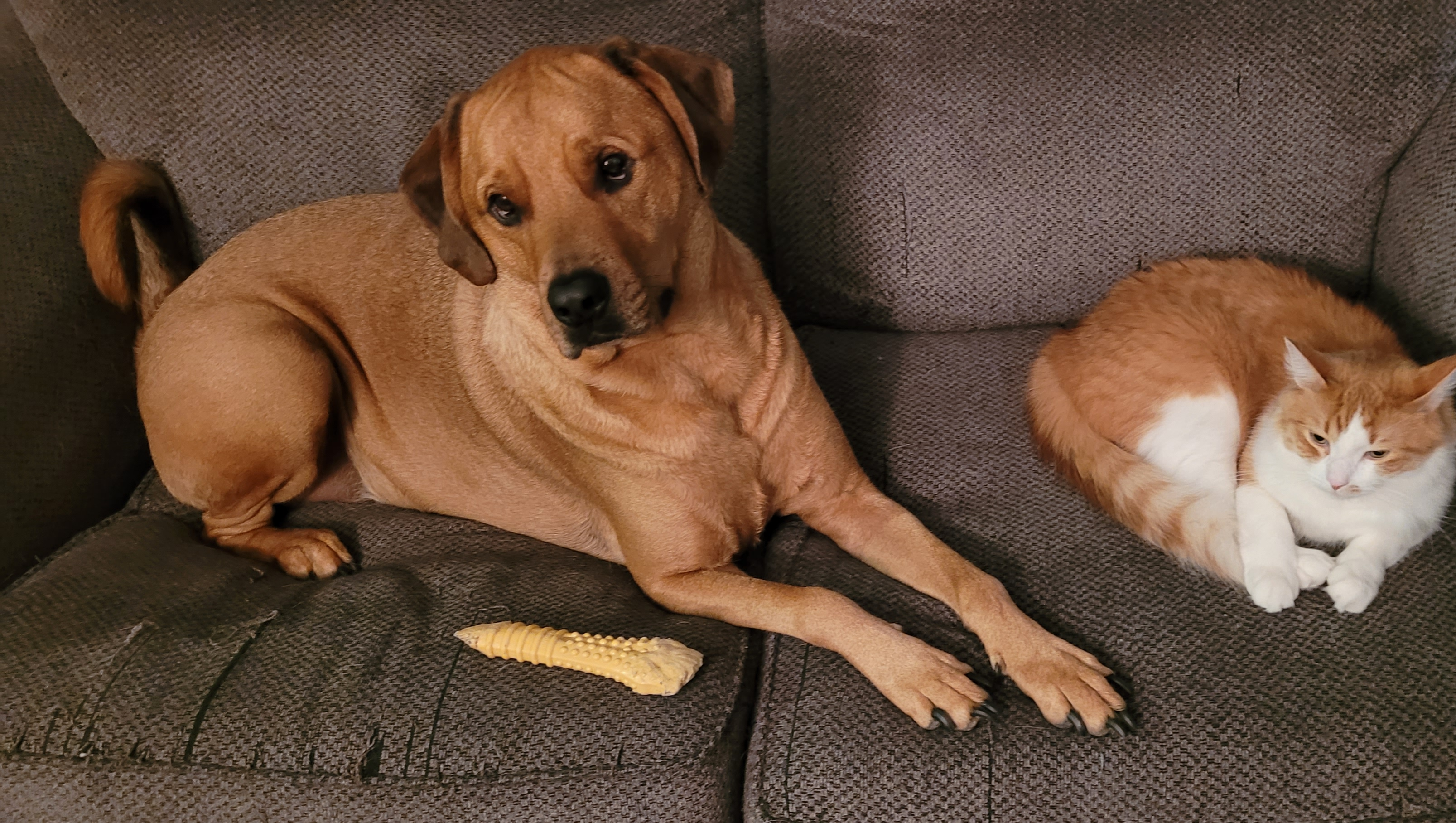 Fundraiser by Brandi Summers : Help Timmy Get the Care He Deserves