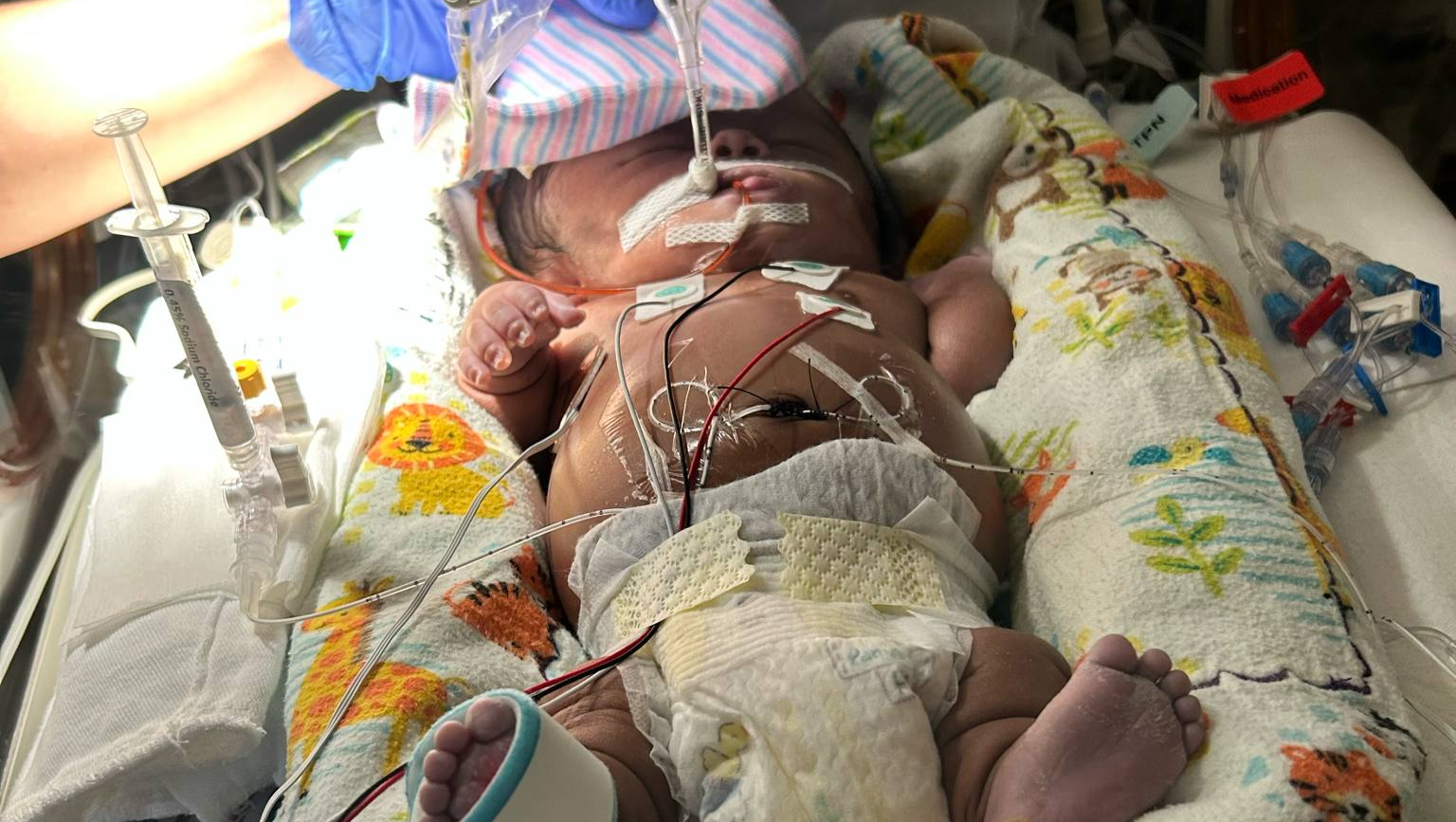 Fundraiser by Jenell Land : Support for Baby Brandon Tripp Jr.'s Burial