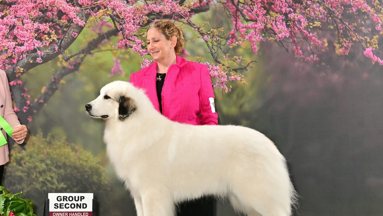 Fundraiser by Sami Royer : Support Kim's Recovery After Roof Fall