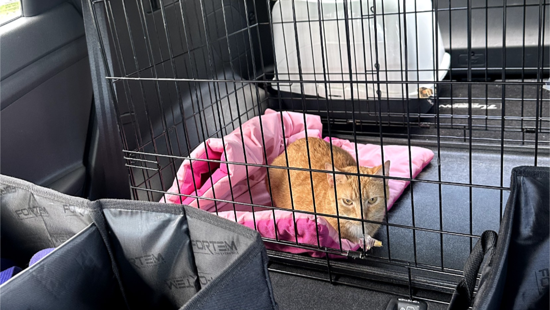 Fundraiser for Kayla Garcia-Neal by Josh Falke : Help Kayla Care for ...