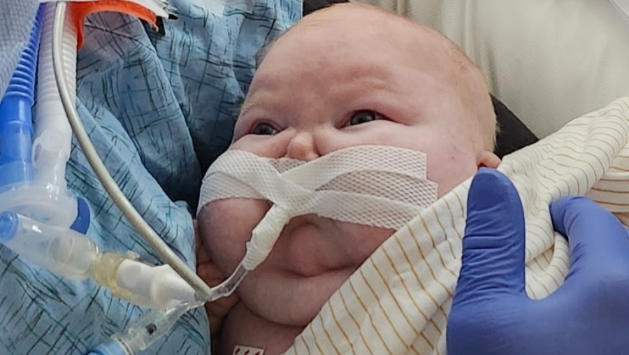 Fundraiser by Casey Fults : Help Us Honor Titus with a Tombstone