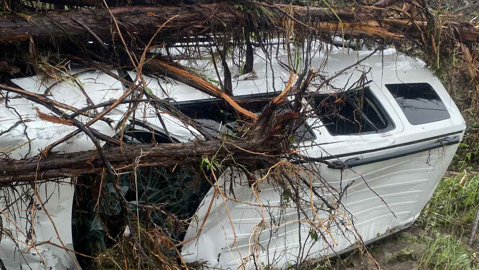 Fundraiser for Daryl Levlon by Justin Bailey : Help support Daryl's ...