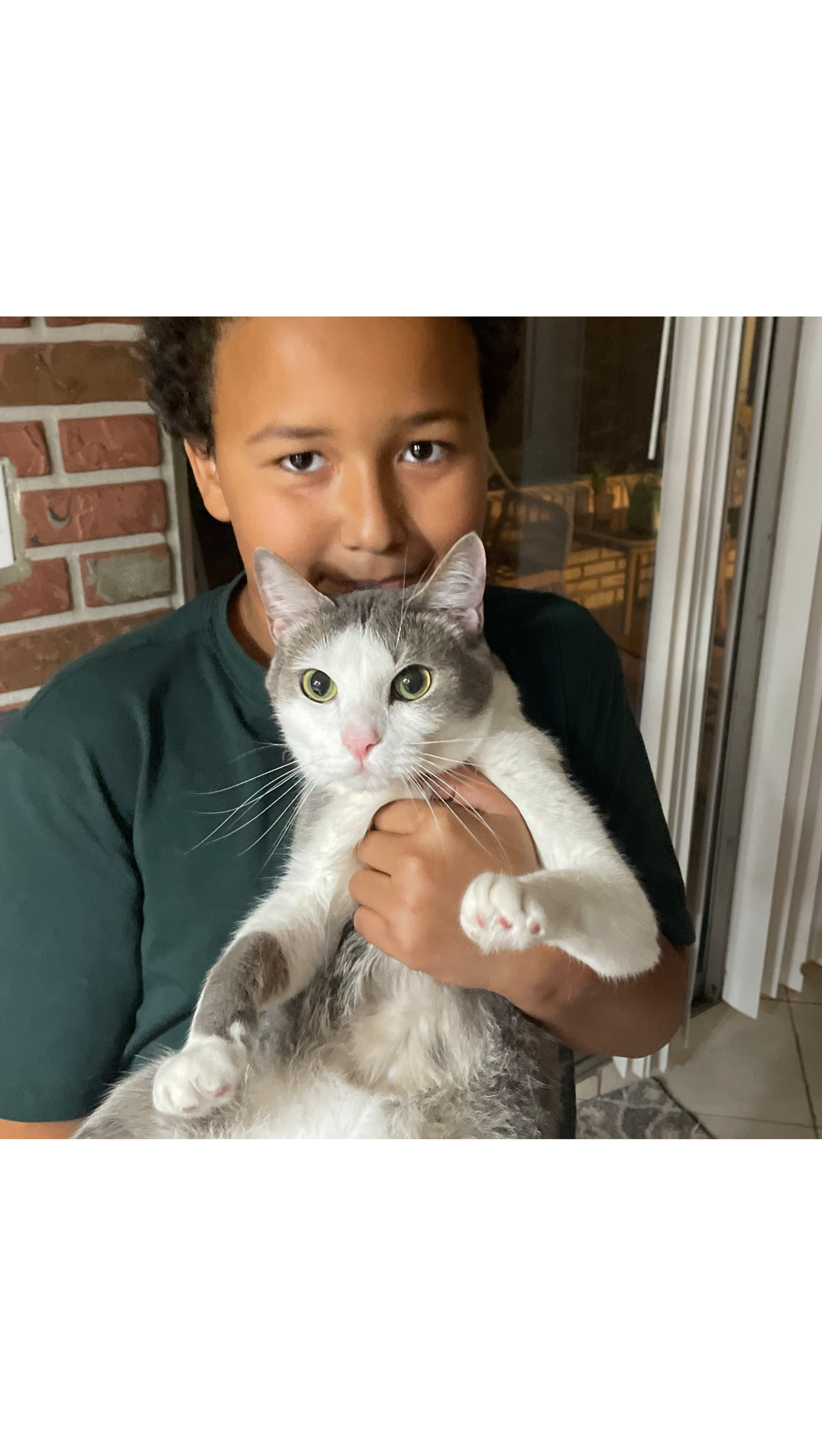 Fundraiser by Anna Montano : Help Ollie Overcome His Vet Emergency