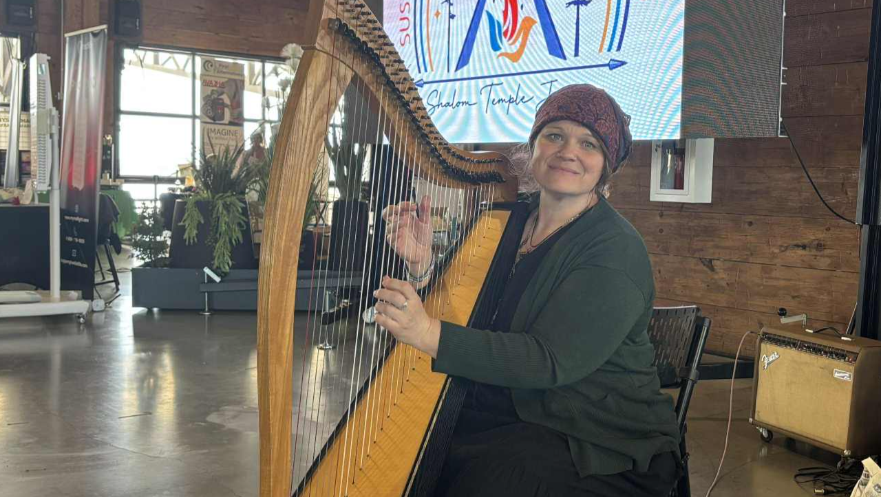 Fundraiser by Sarah Jane Peters : Help Sarah Jane Restore Her Harp and ...