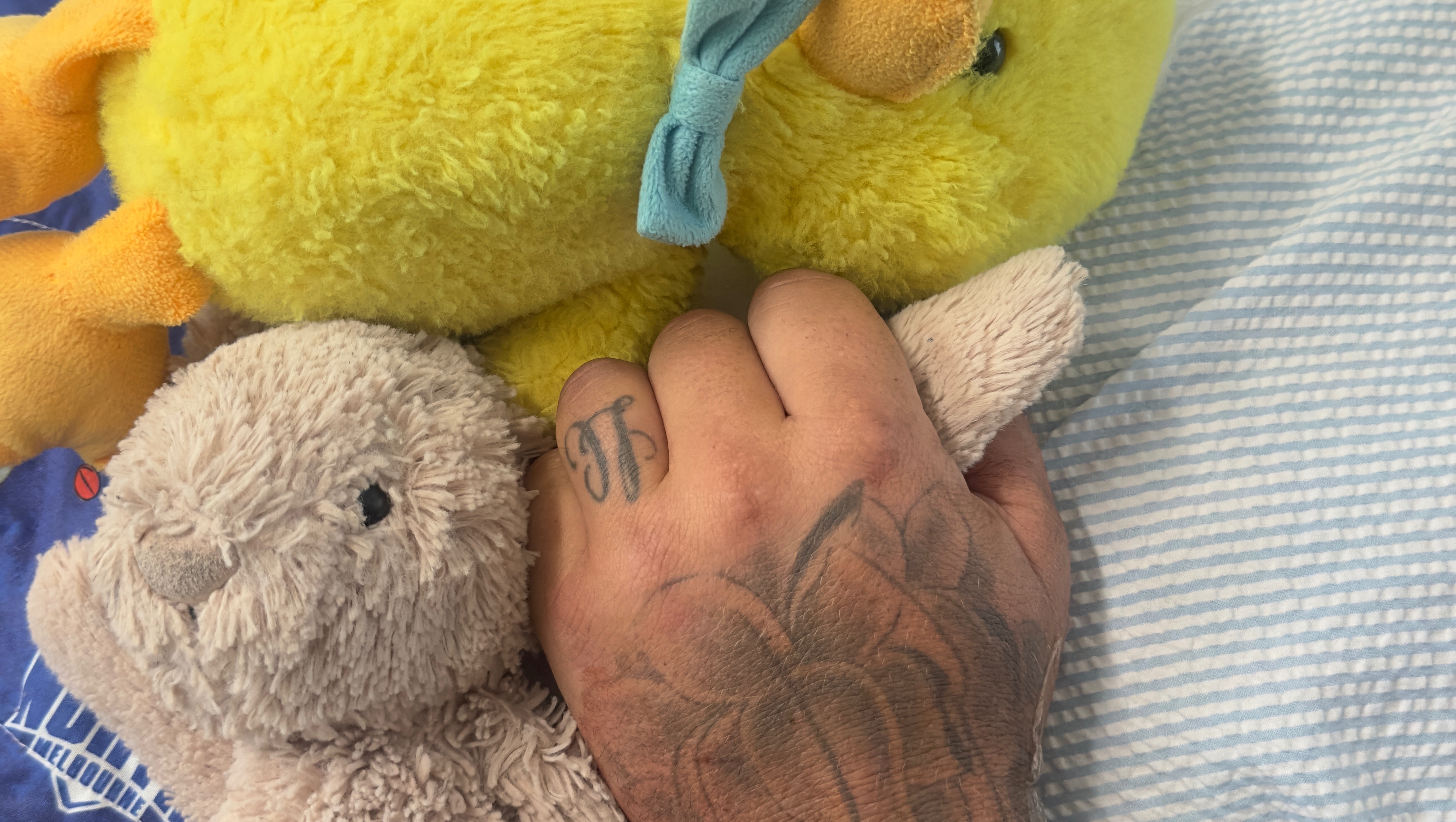 Fundraiser by Danielle Dickson : Help Support Darcy Coulson and His Family