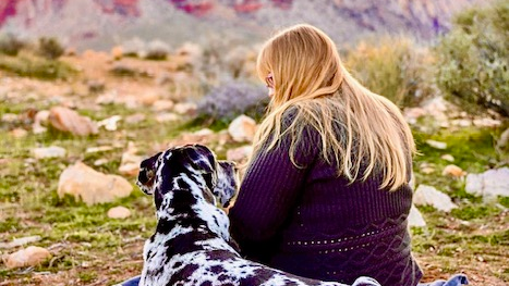 Fundraiser by Lisa Lemley : Taylor's Road to Recovery