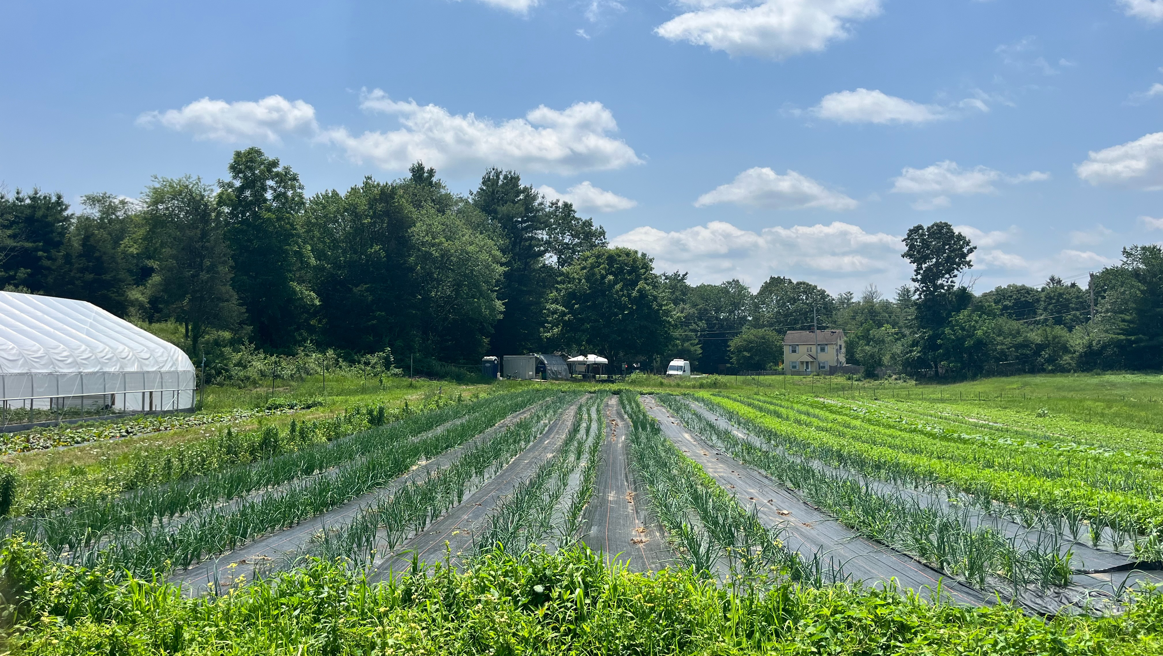 Fundraiser by Xian Ho : Grow with Us: Keep Hannan Healthy Foods Farm Alive