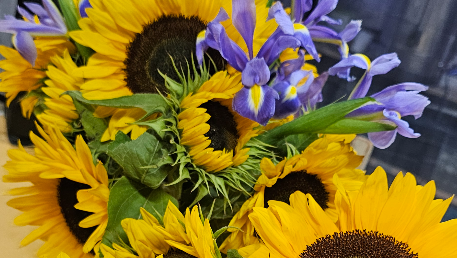 Fundraiser by Natalie Faunch : Help us recover after a heartbreaking ...