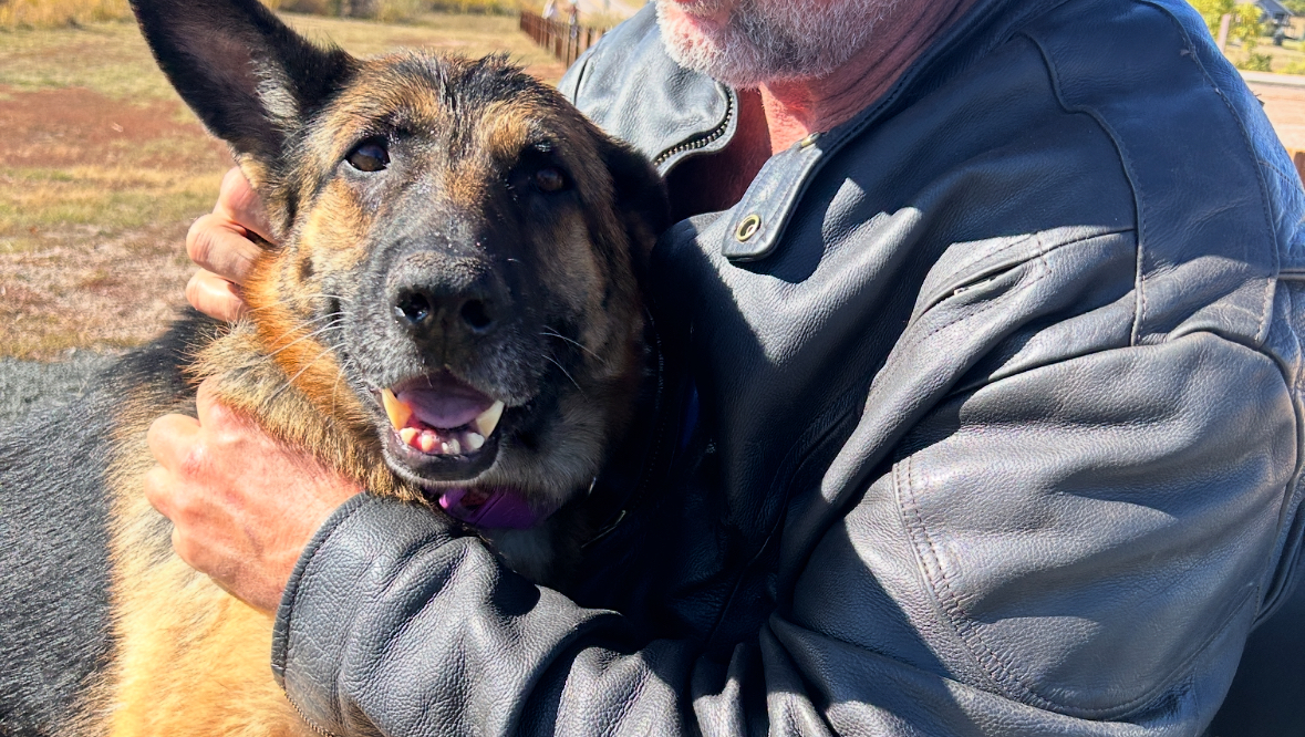 Fundraiser by Summer Adeline : Help us save Bella Bada Bing Bong