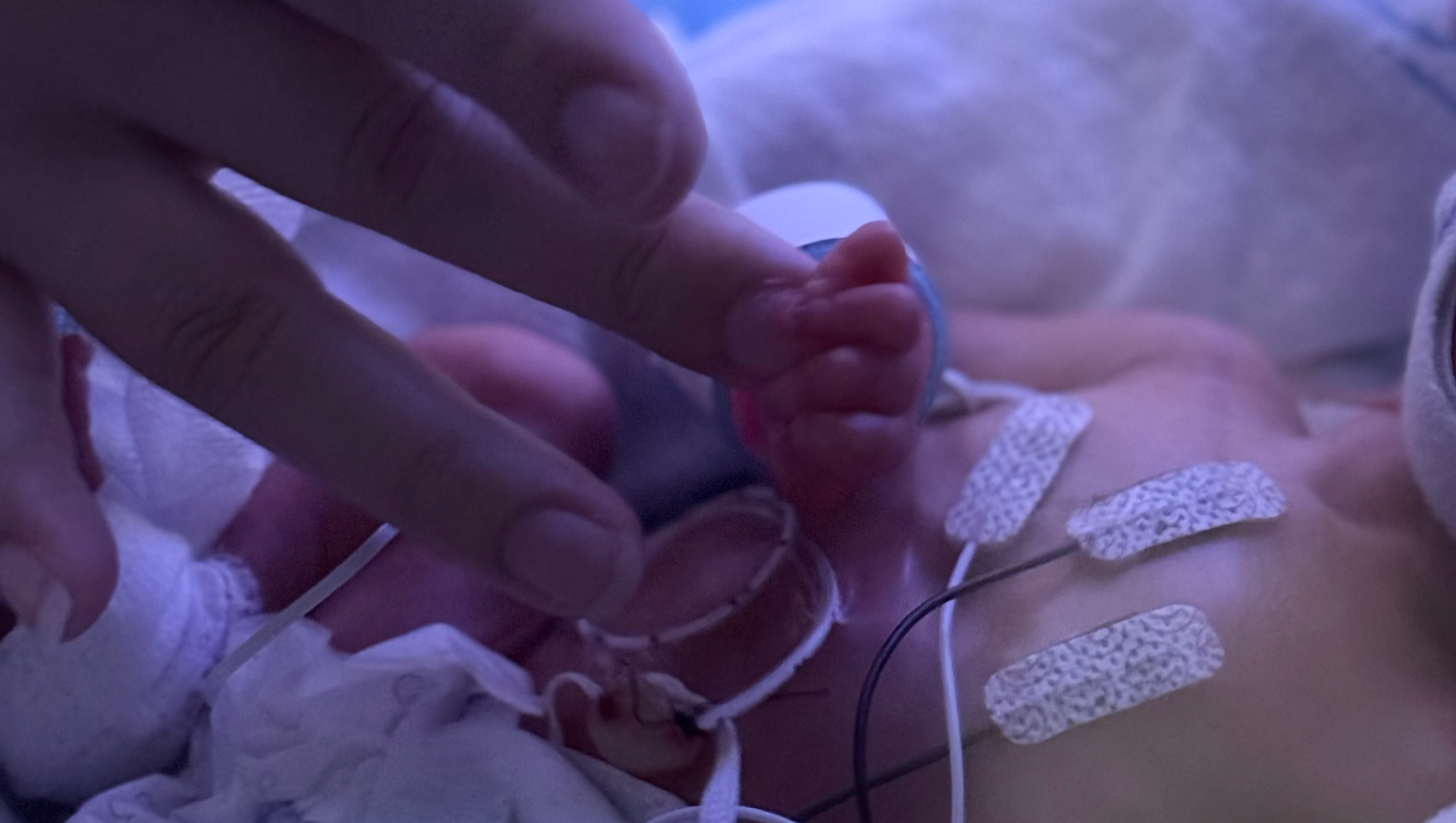 Fundraiser for Kelly Kehm by Elizabeth Kouandjio : Help the Beals ...