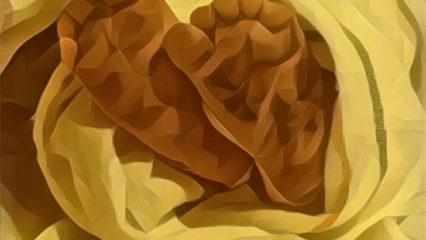 Fundraiser for Annie Rivera by Melissa Rivera : Honoring Ivyana Vanessa ...