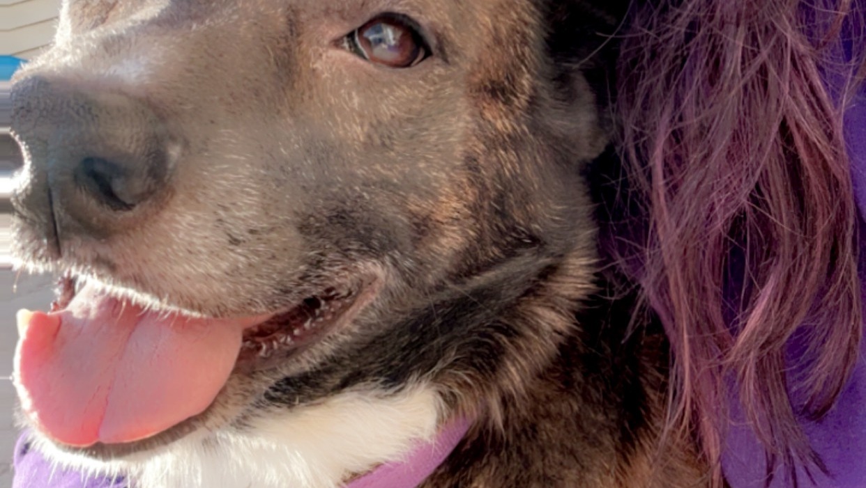 Fundraiser by Yeymi Acosta : Honoring Reyna's Love and Final Journey