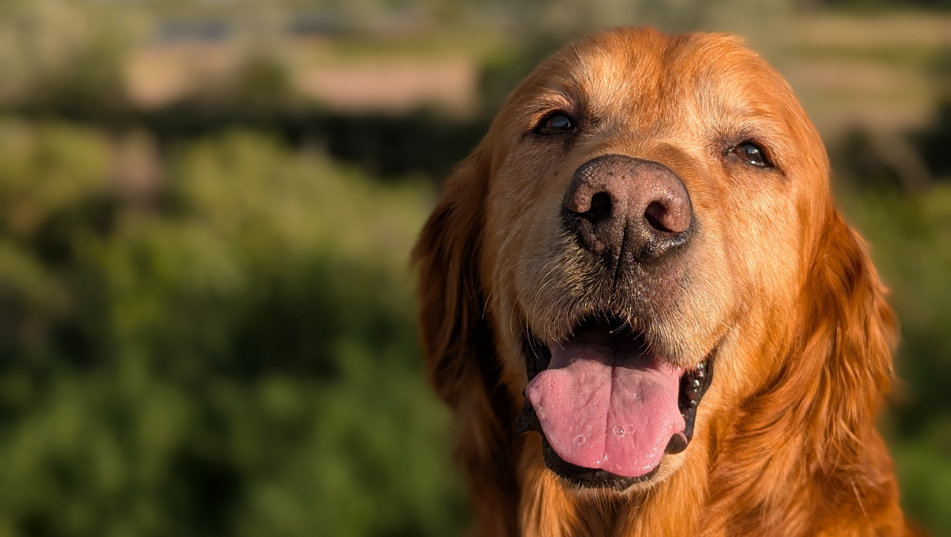 Fundraiser for Bryce Kosinski by Jillian Heath : Support Winston's Life ...