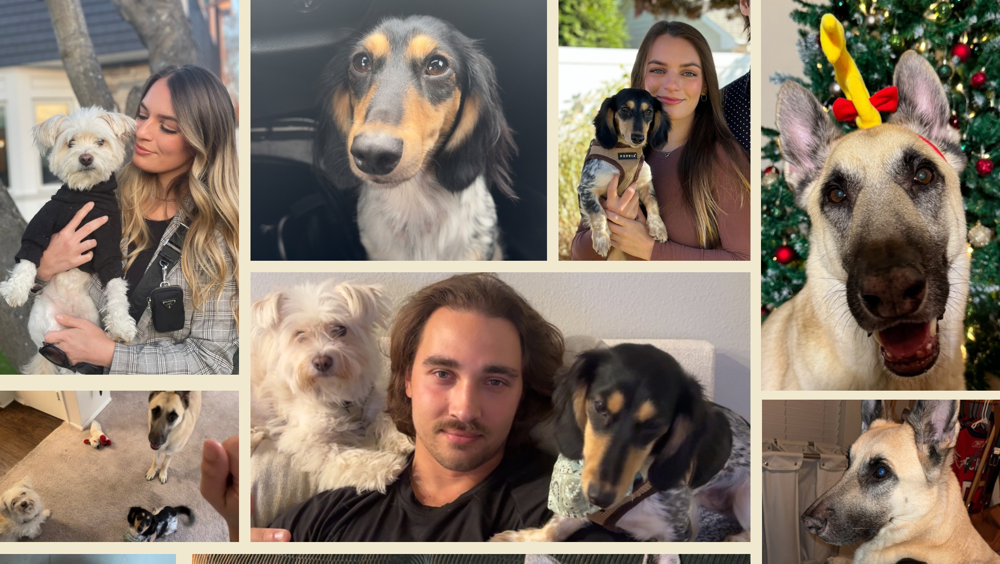 Fundraiser for Savannah LaPort by Lisa Miller : A Heartbreaking Loss ...