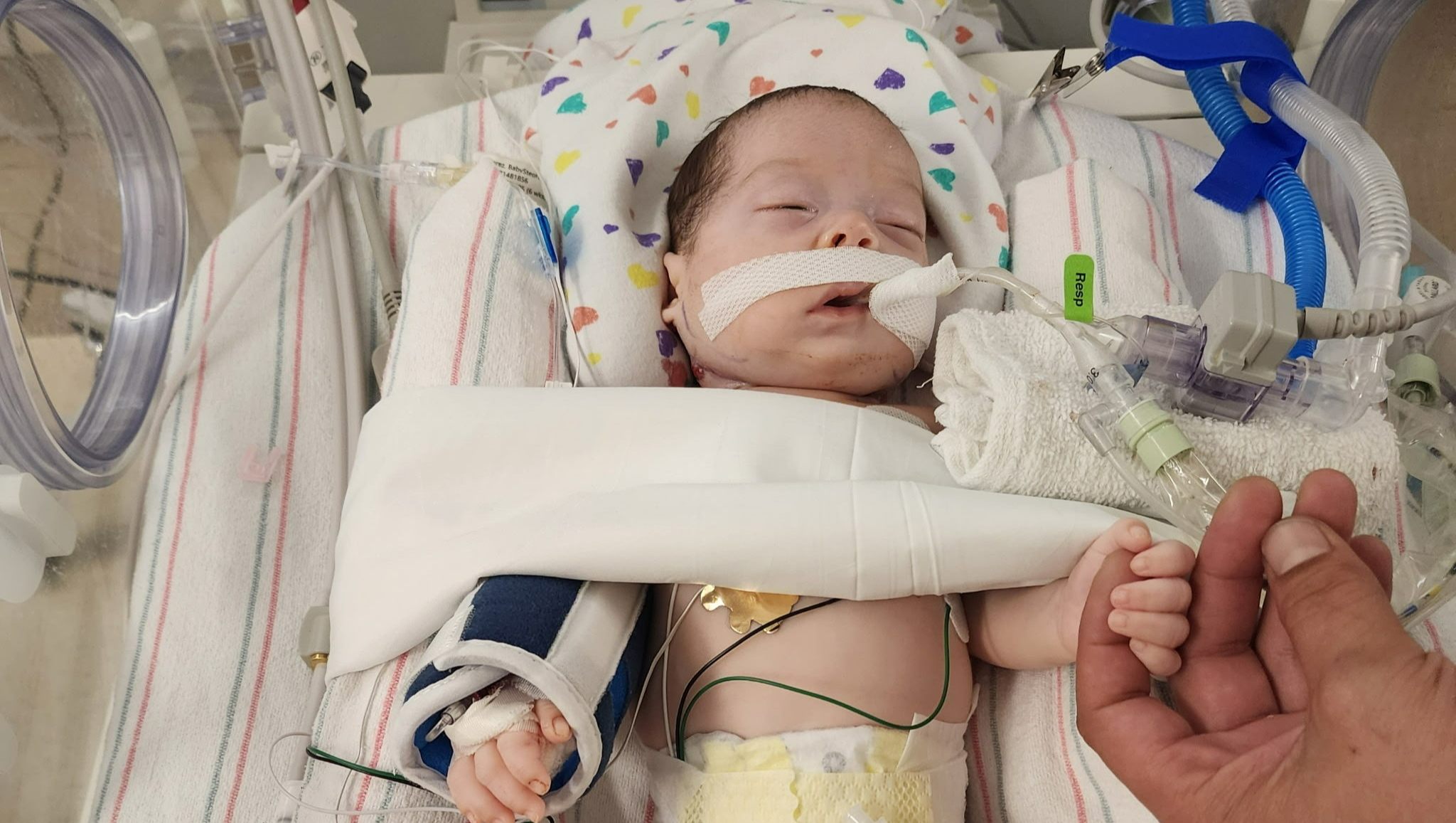 Fundraiser for Stephanie Casarez by Sarah Casarez : Help Arora, the ...