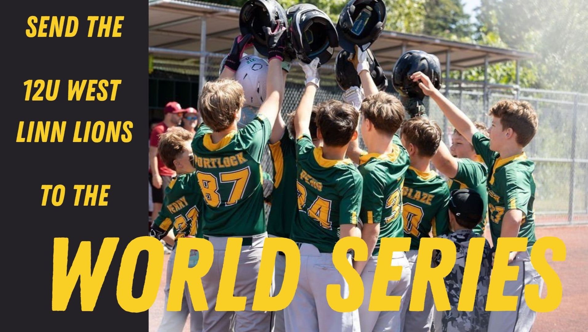 Fundraiser by West Linn 12U - 2025 Green : Back Our Lions: 12U Cal ...