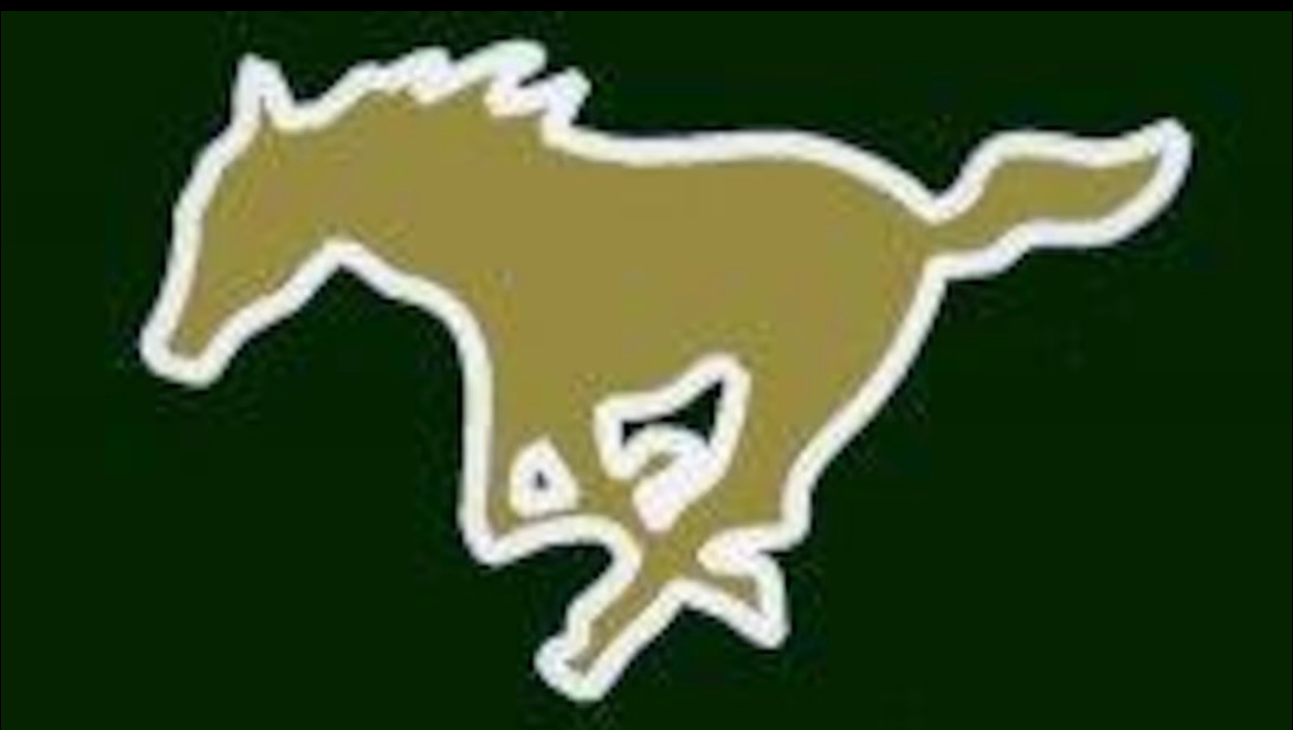 Fundraiser by Miles Smith : Support West Jones Mustangs Golf Team