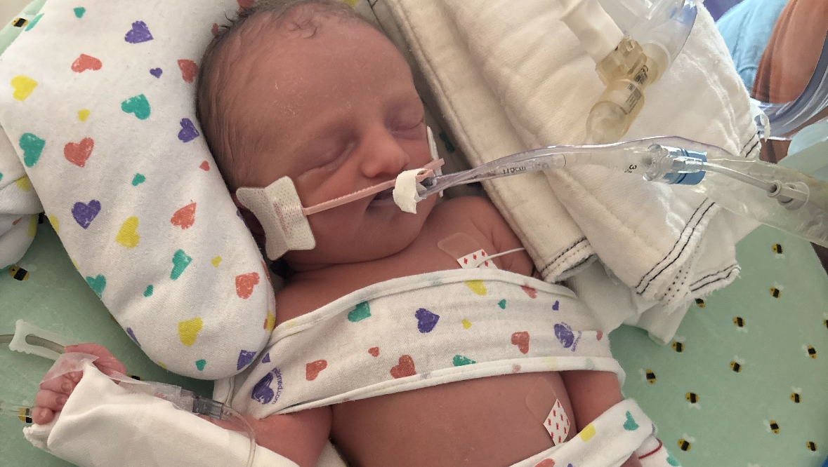 Fundraiser for Madelyn Wideman by Riley Smith : Help Support Baby Noah and The Wideman Family